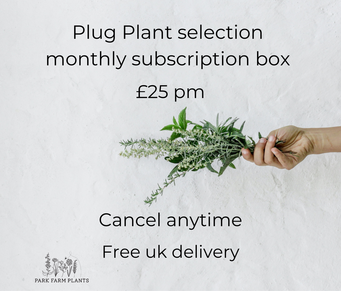 Plug plant selection - monthly subscription box – Park Farm Plants